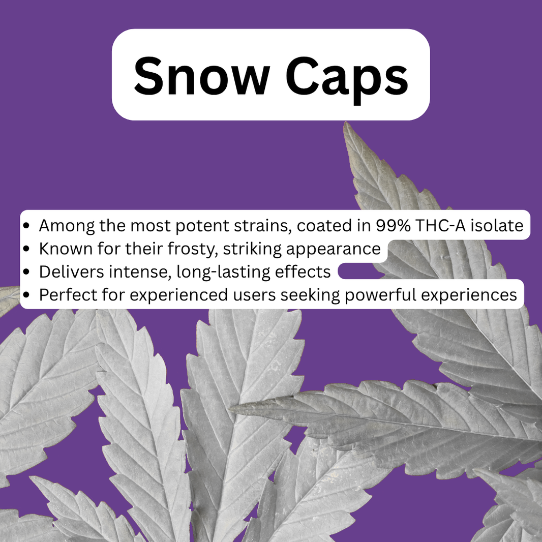 Cannabis & Supplements – Infinity's End